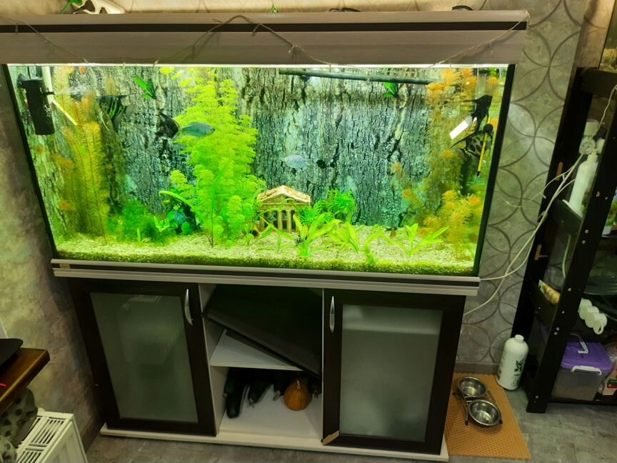 Распродаю аквариумы 300 и 30 литров