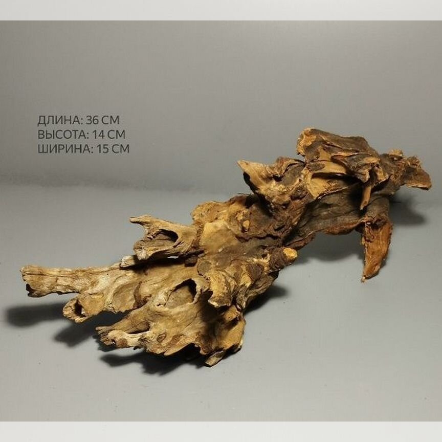 Коряга мангровая для аквариума или террариума вк54