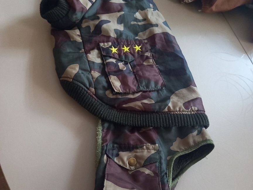 Одежда для собак