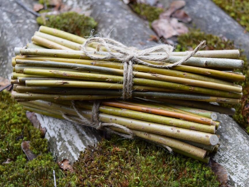 Свежесрезанные ветки для птиц и животных