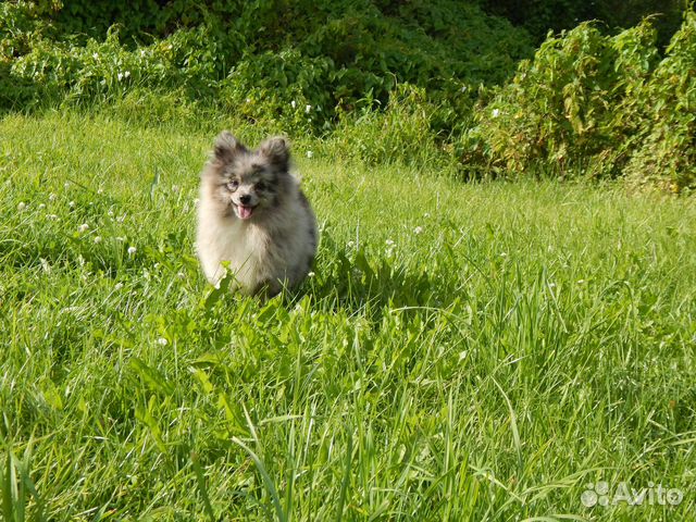 Мальчики-подростки 6мес-ждут своего человека