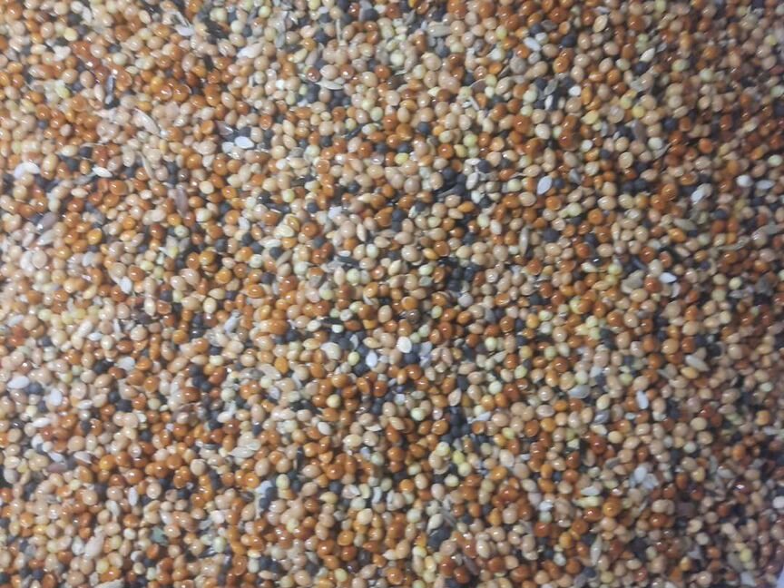 Корм для канареек и амадин