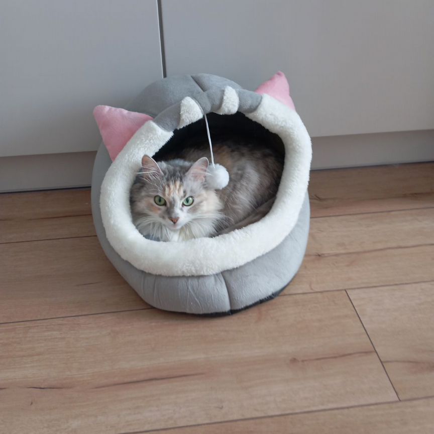 Домик для кошки бу