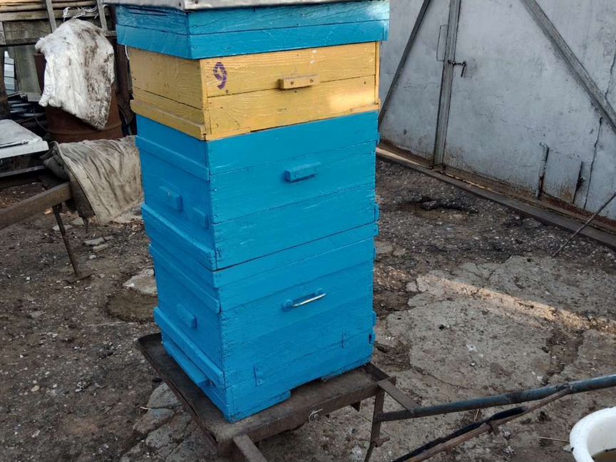 Улей для пчел бу