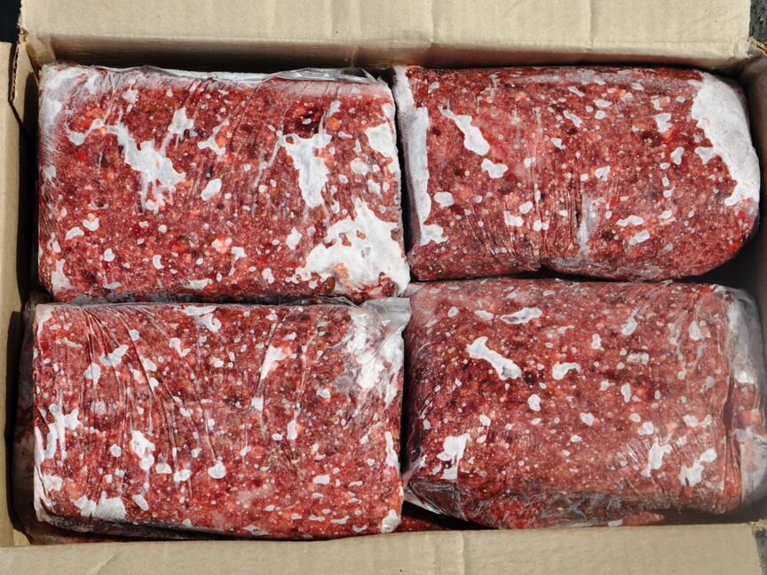 Корм для собак