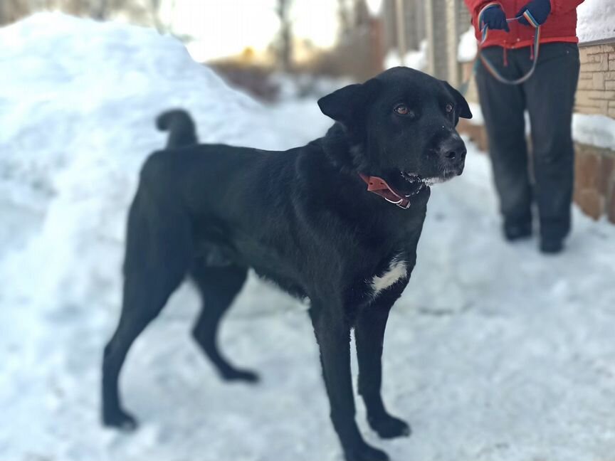 Сэм ищет семью