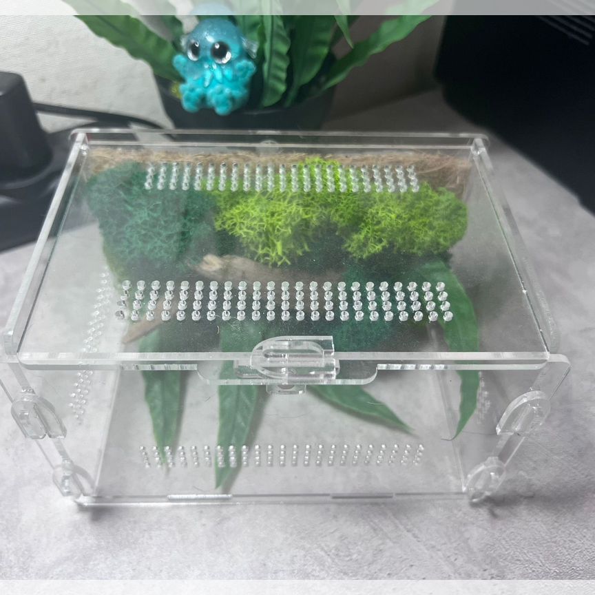 Акриловый террариум 10*15*10