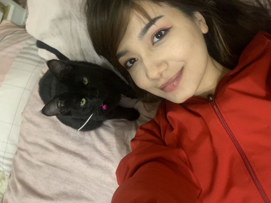 Нужен котик или котята