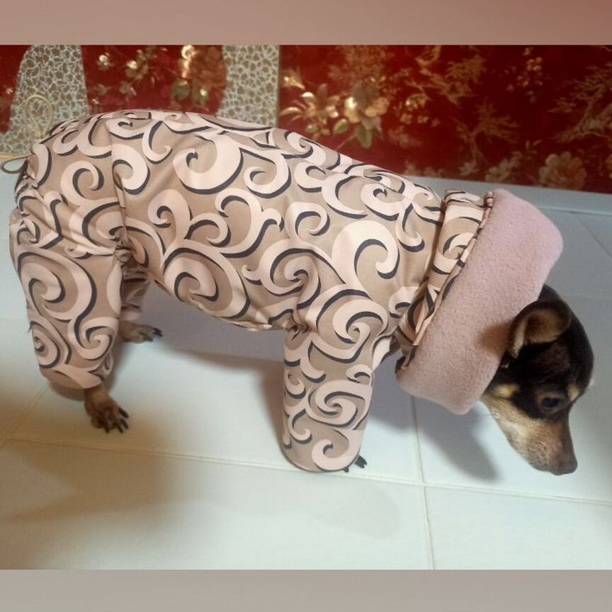 Комбинезон для девочки той терьера