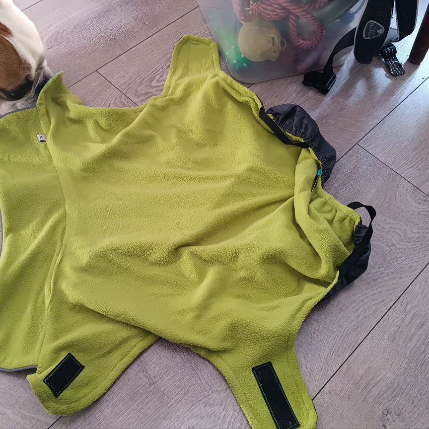 Миска шлейка лапомойка куртка сумка