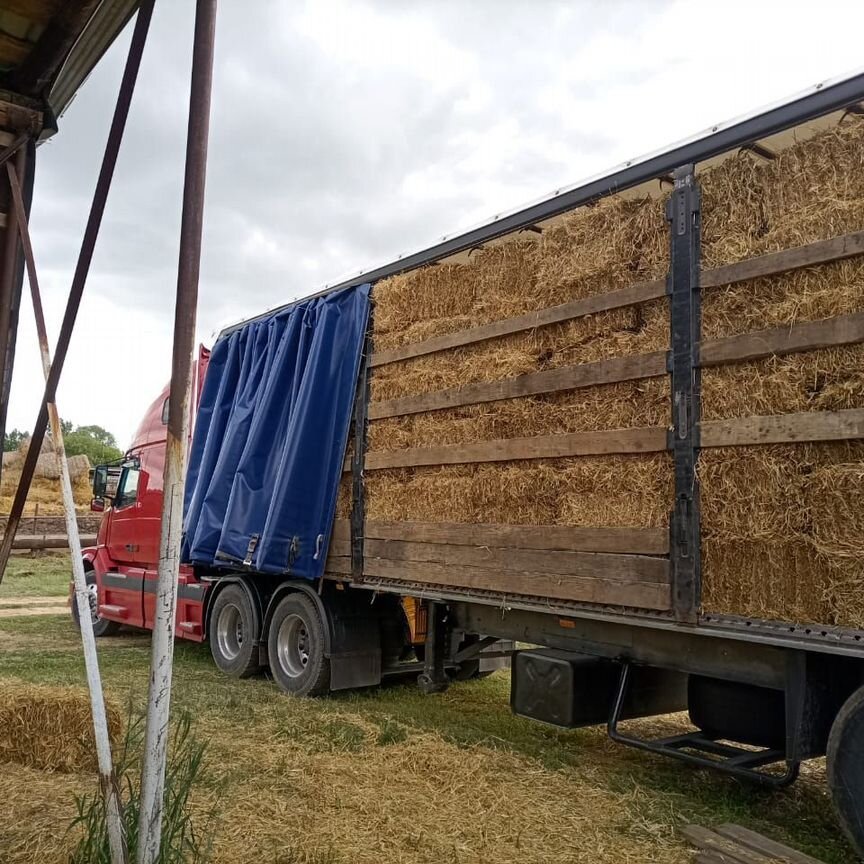 Сено салома