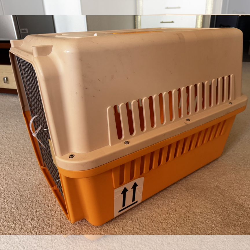 Бокс для перевозки собак
