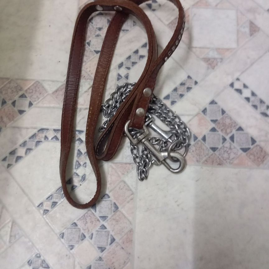 Продам поводок цепь