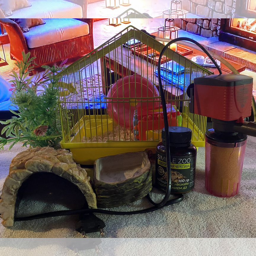 Товары для животных