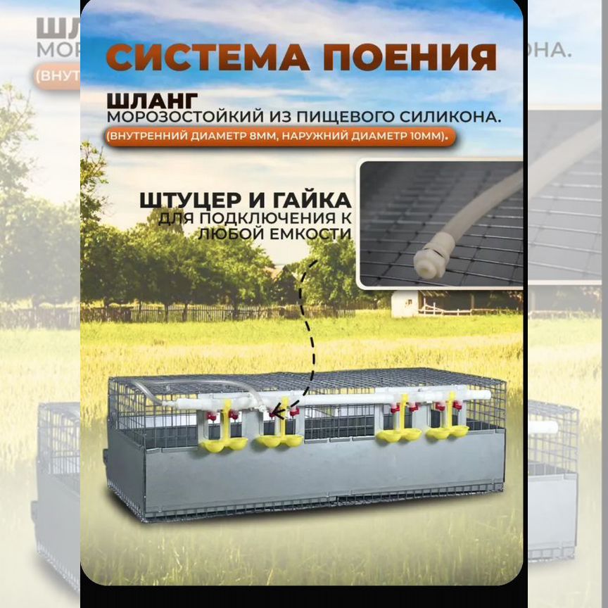 Клетка для перепелов