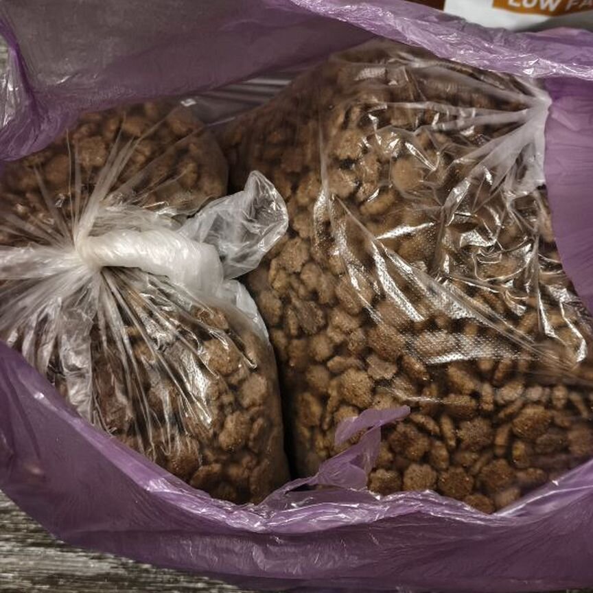 Корм для собак