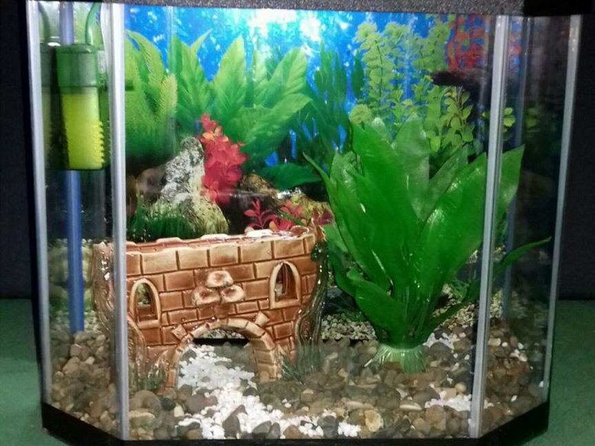 Продам аквариум