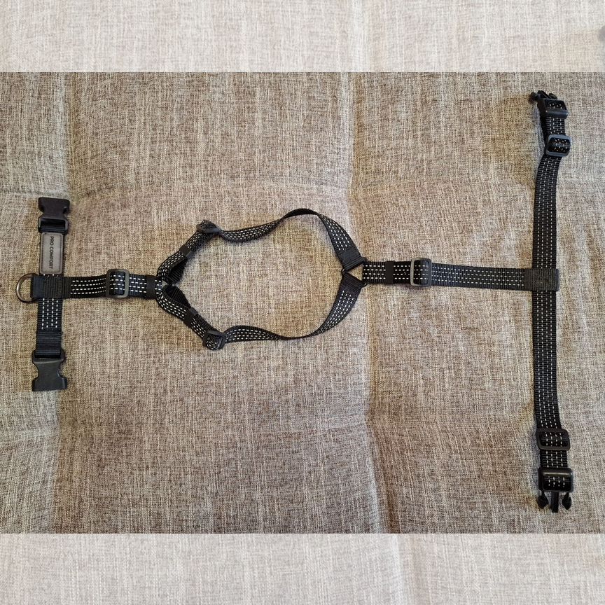 Анатомическая шлейка для собак средних пород