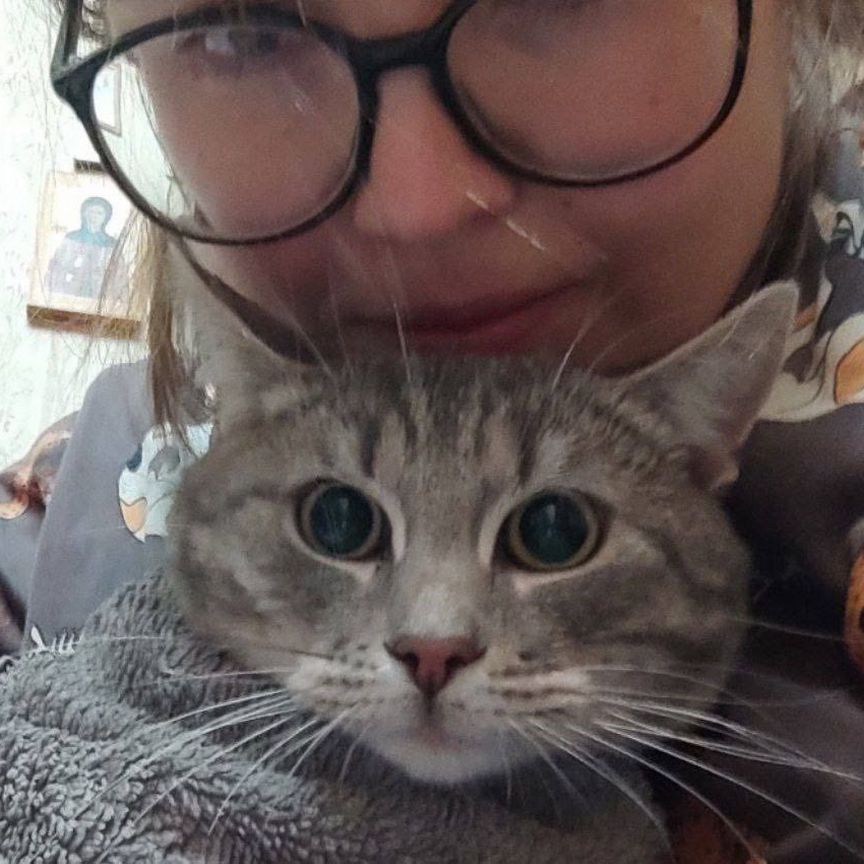 Котенок Лютик