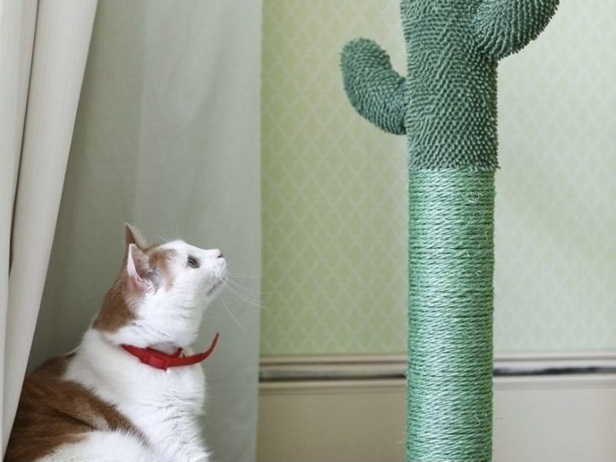 Товары для животных