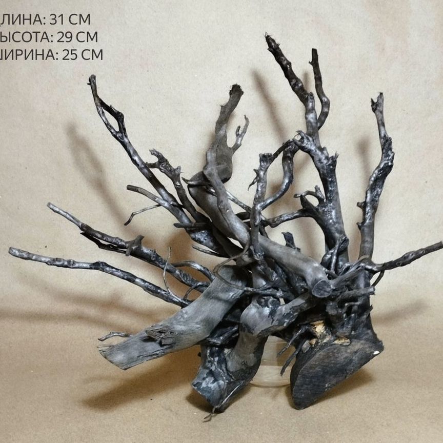 Коряга черная паучий корень 31*25*29 вк409