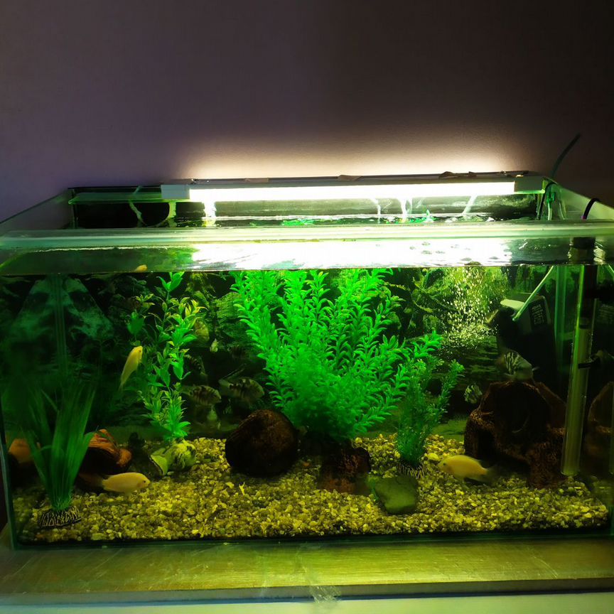 Аквариум с рыбками 100 литров