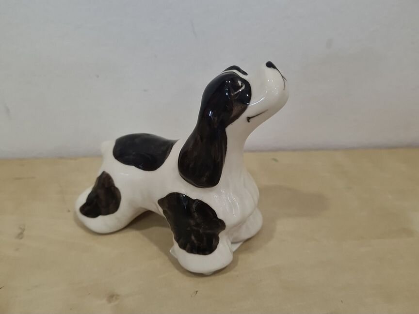 Русский кокер спаниель