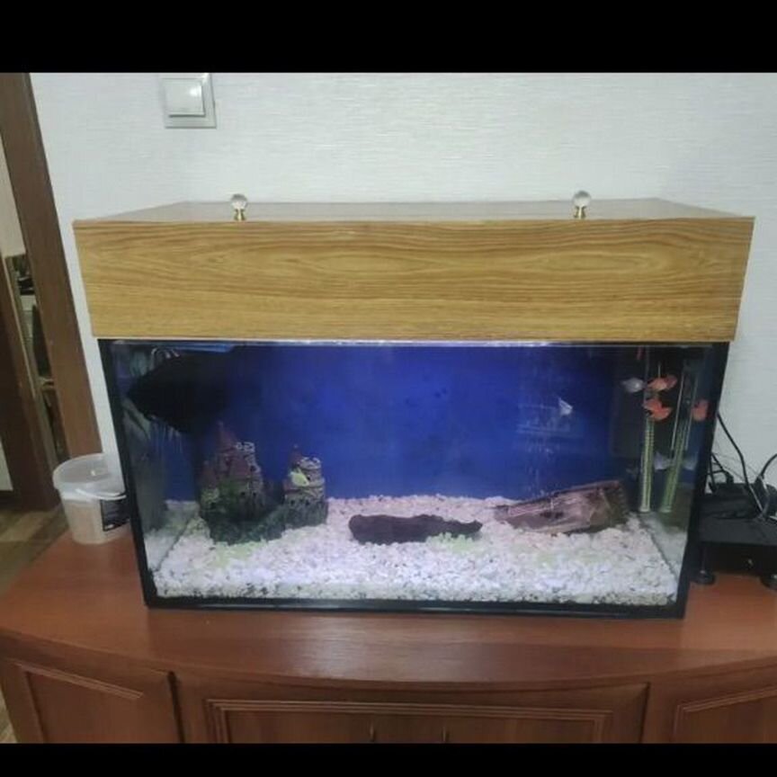 Аквариум с рыбками