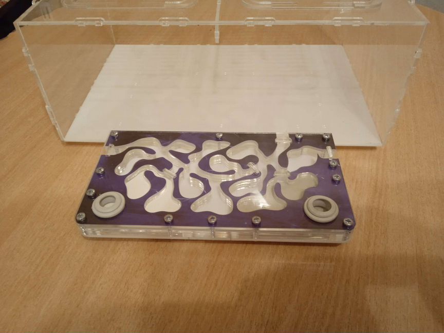 Формикарий муравьиная ферма