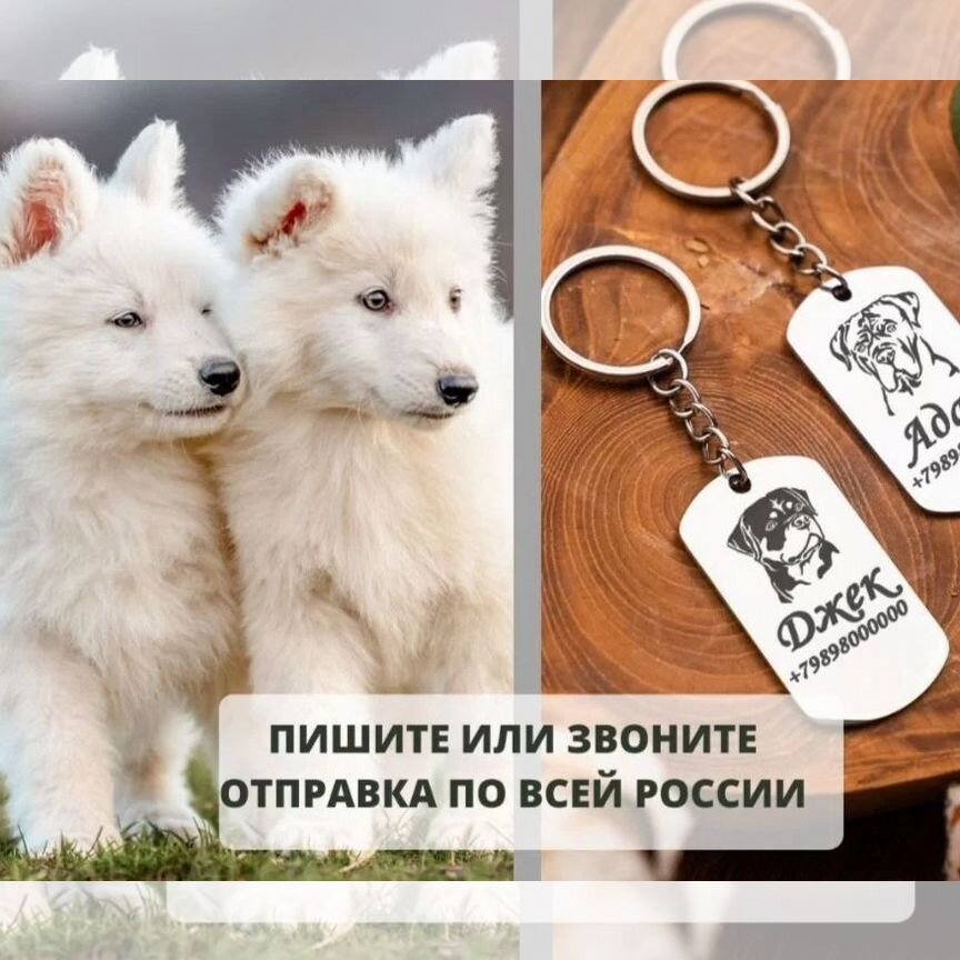 Адресники под ошейник для собак/кошек   Гравировка