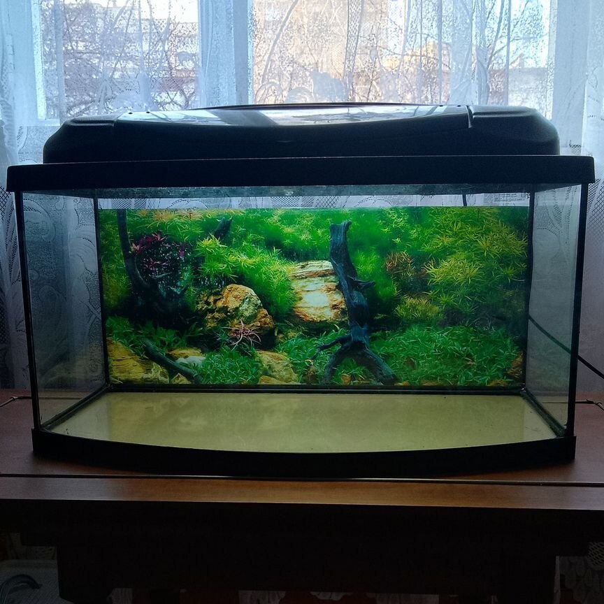 Продам аквариум