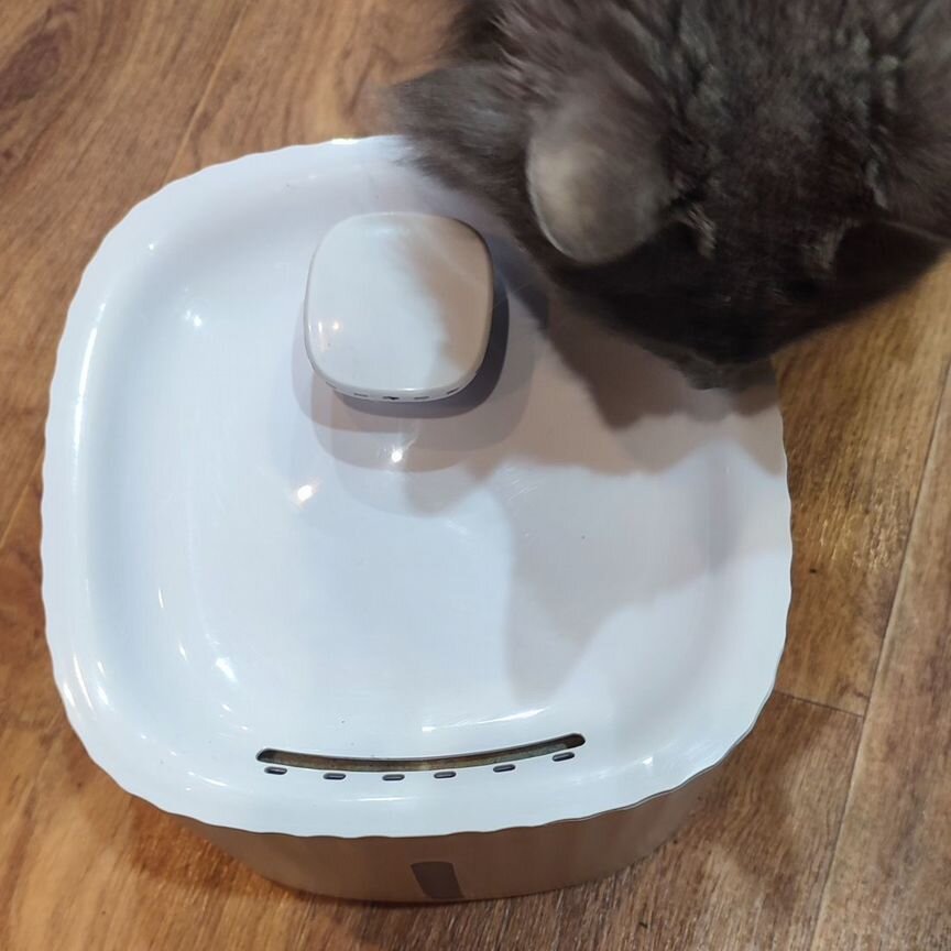 Фонтан поилка для кошек