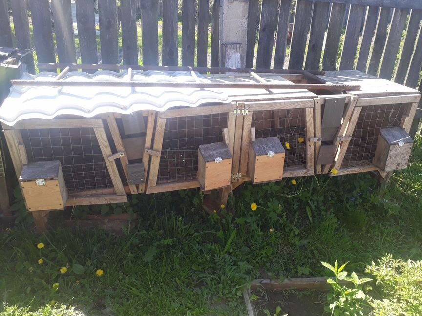 Клетки для кроликов