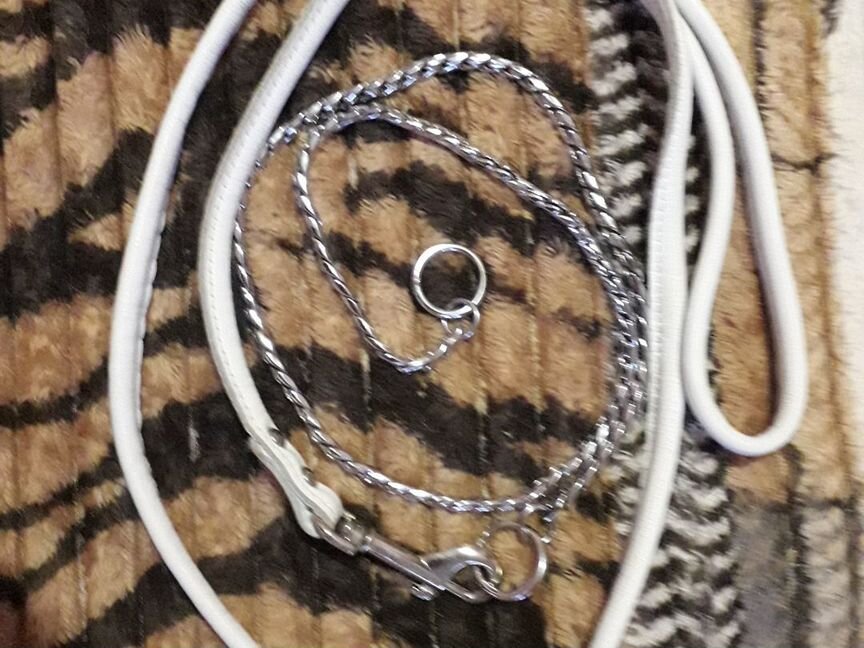 Кожаная ринговка для выставок