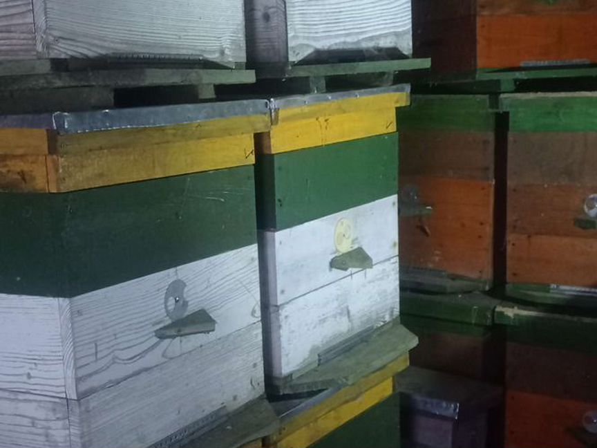 Ульи для пчел