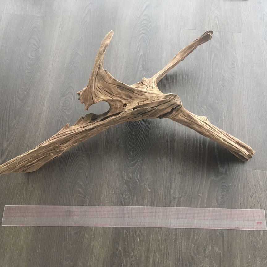 Коряги мангровые