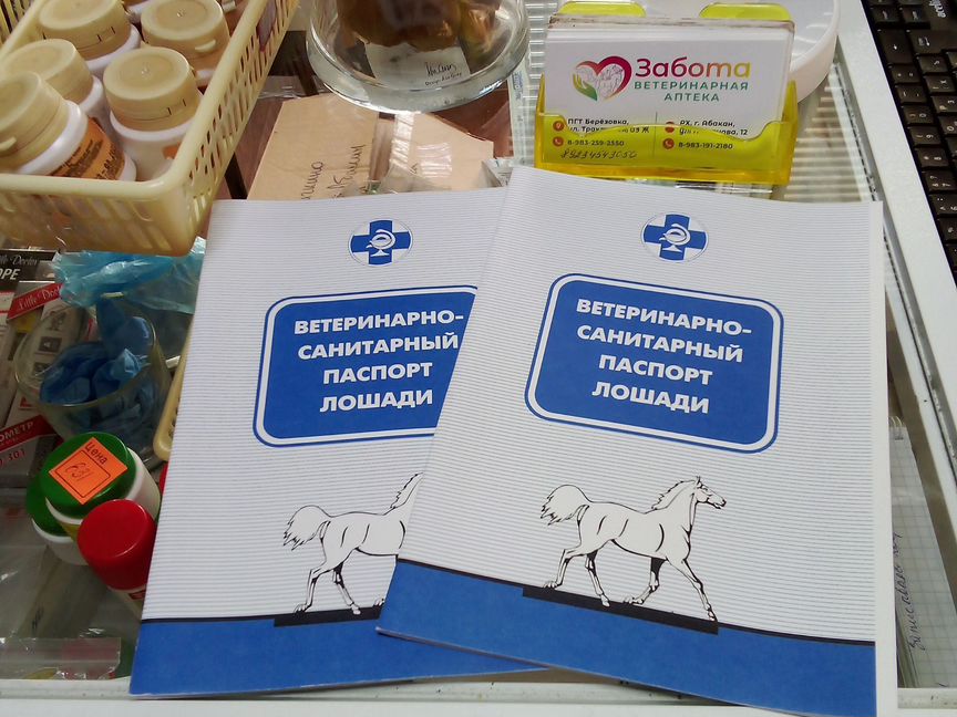 Ветеринарно-санитарный паспорт лошади