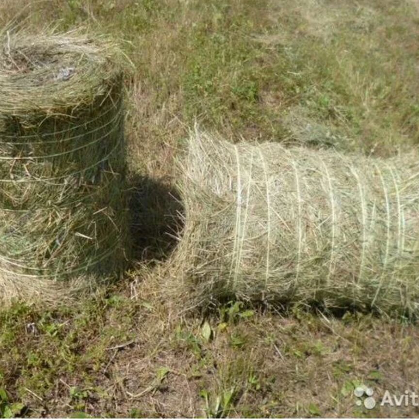 Сено в мини рулонах