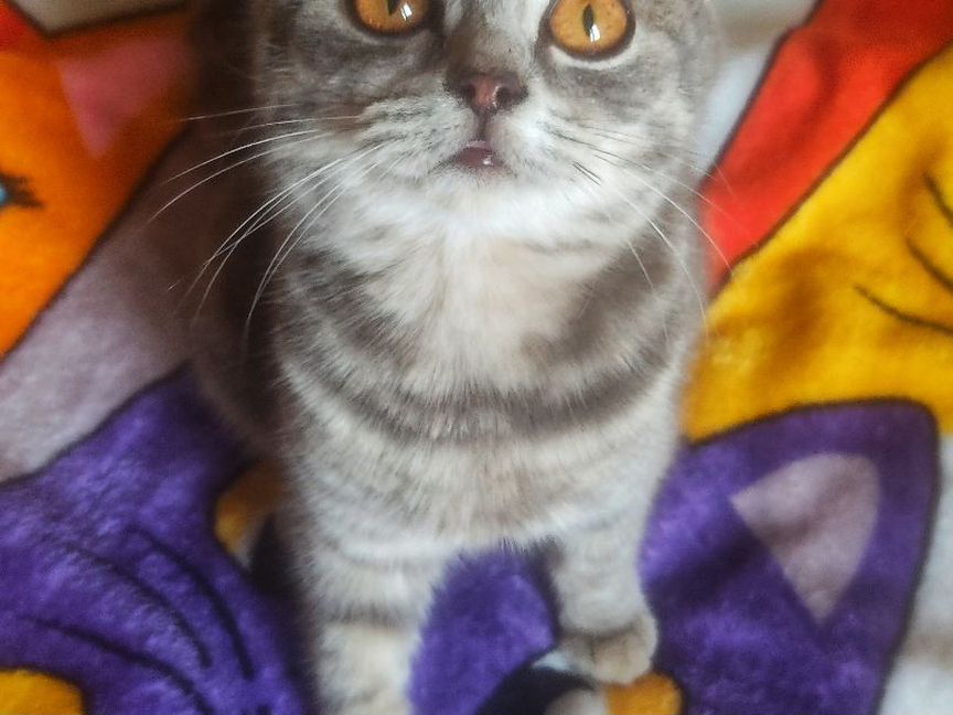 Малышка с огромными глазами в добрые руки