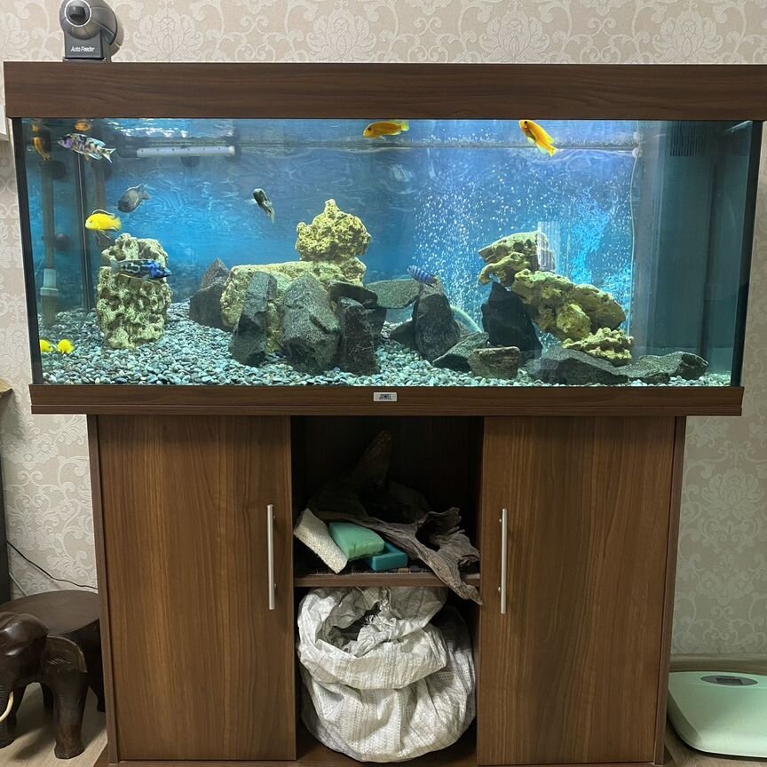 Аквариум juwel 240литров с тумбочкой