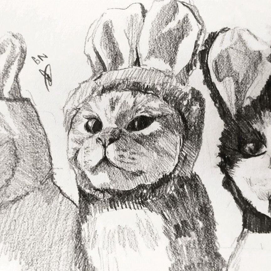 Рисую ваших питомцев