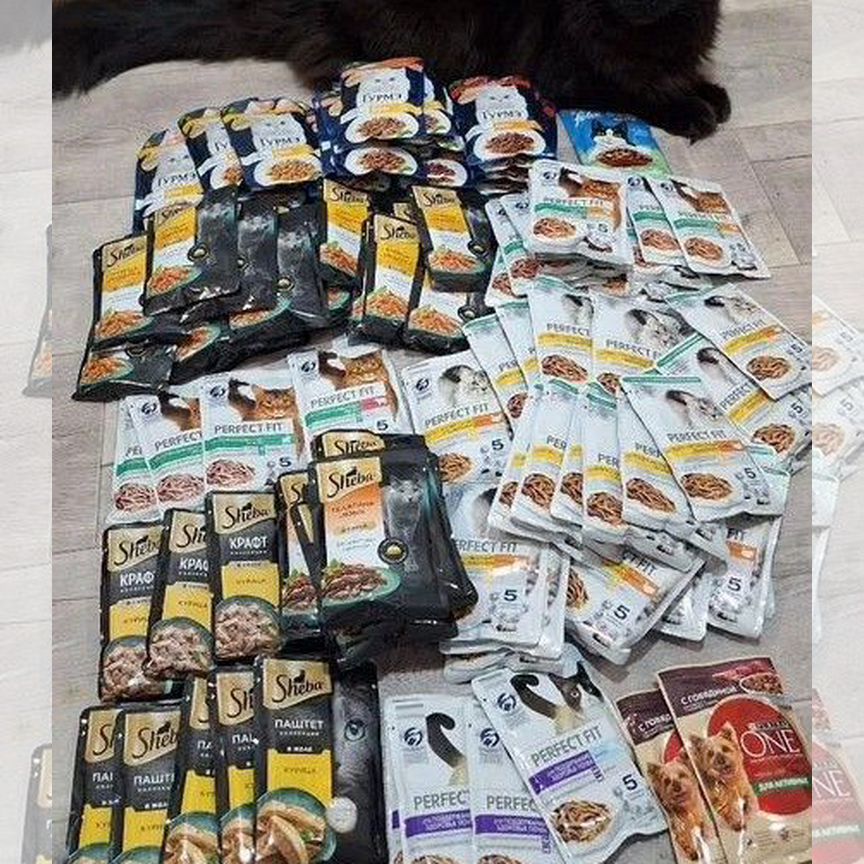 Влажный корм для кошек