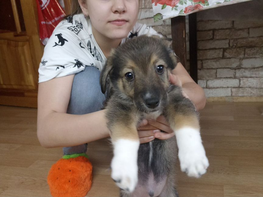 Ищем семью для мальчика