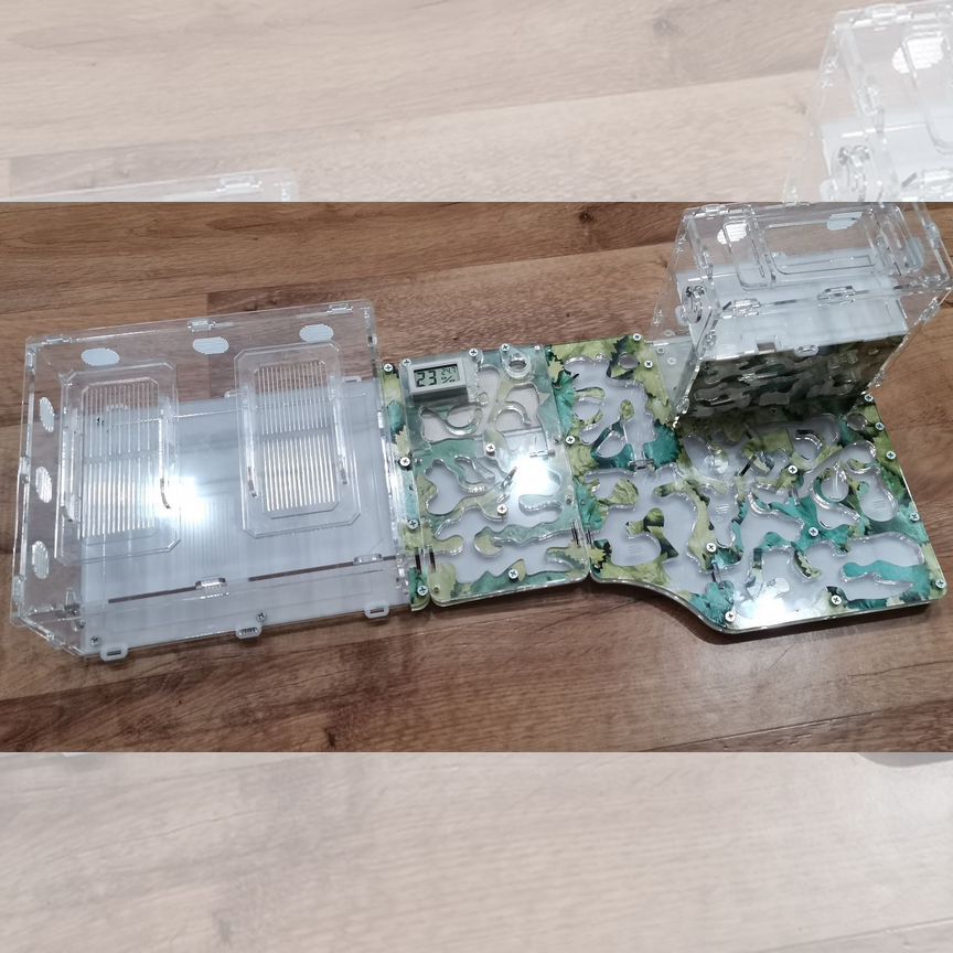 Формикарий для муравьев