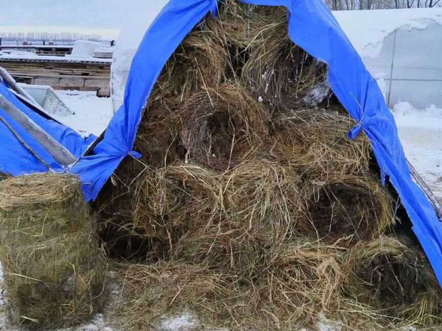 Товары для животных