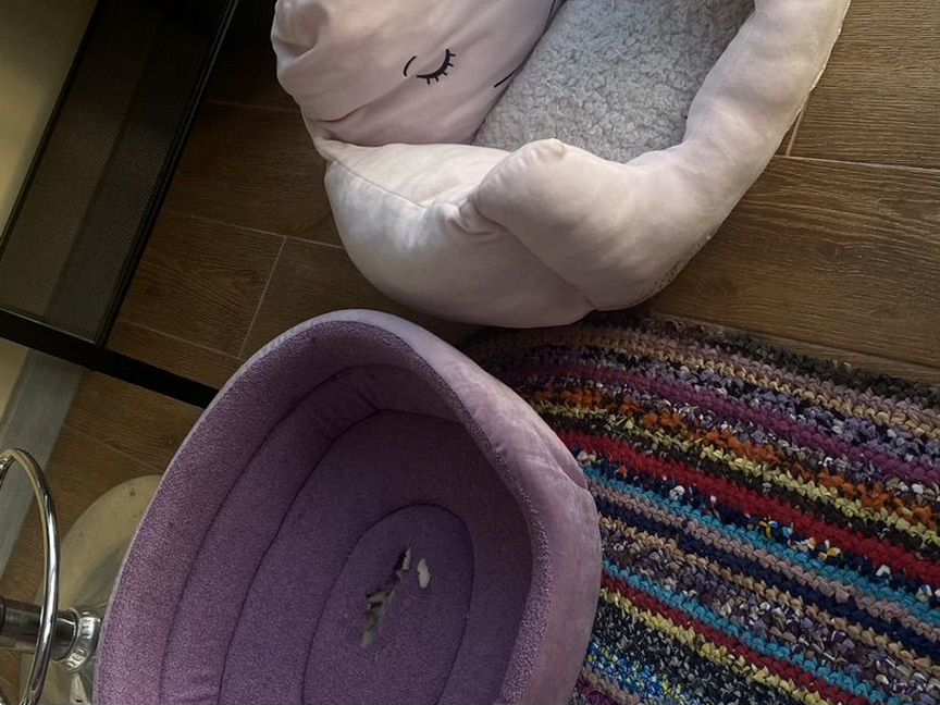 Собачья лежанка