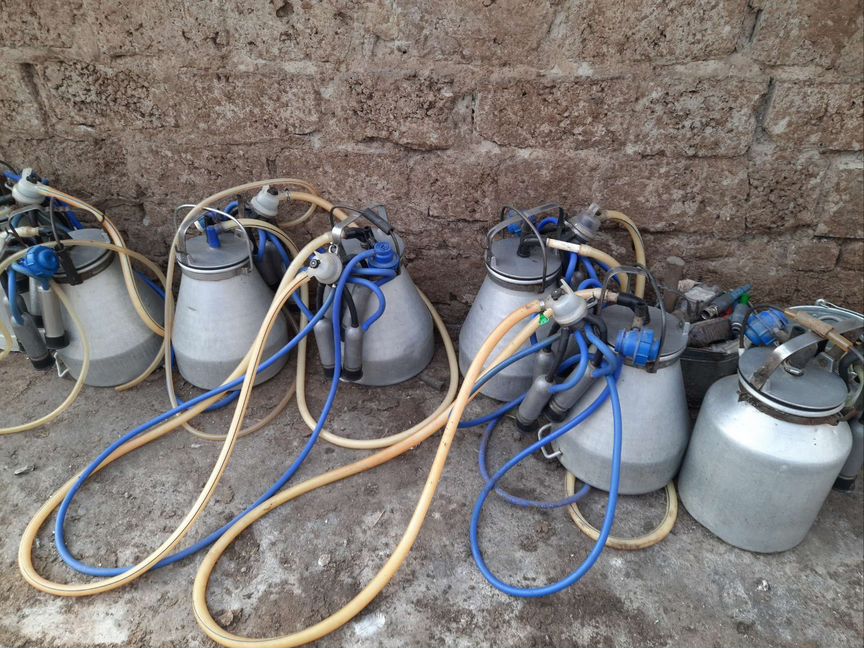 Доильные бачки