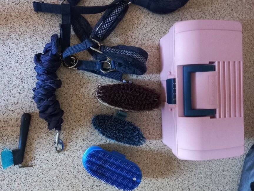 Набор щеток для лошади