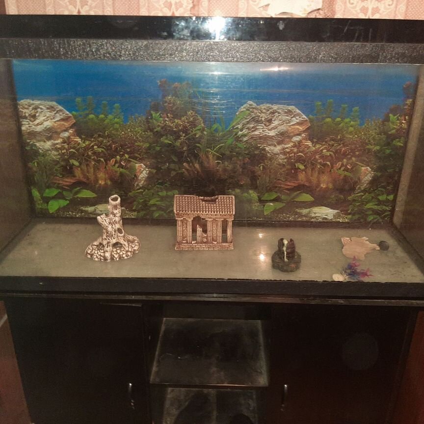 Аквариум