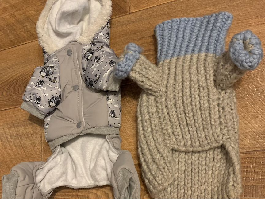 Зимний комбинезон для маленькой собаки